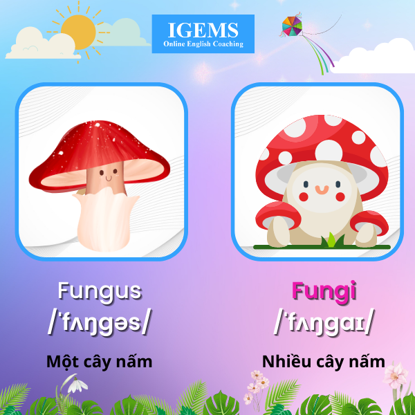 Những Danh Từ Số Nhiều Đặc Biệt Không Thêm S Cần Lưu Ý – Igems